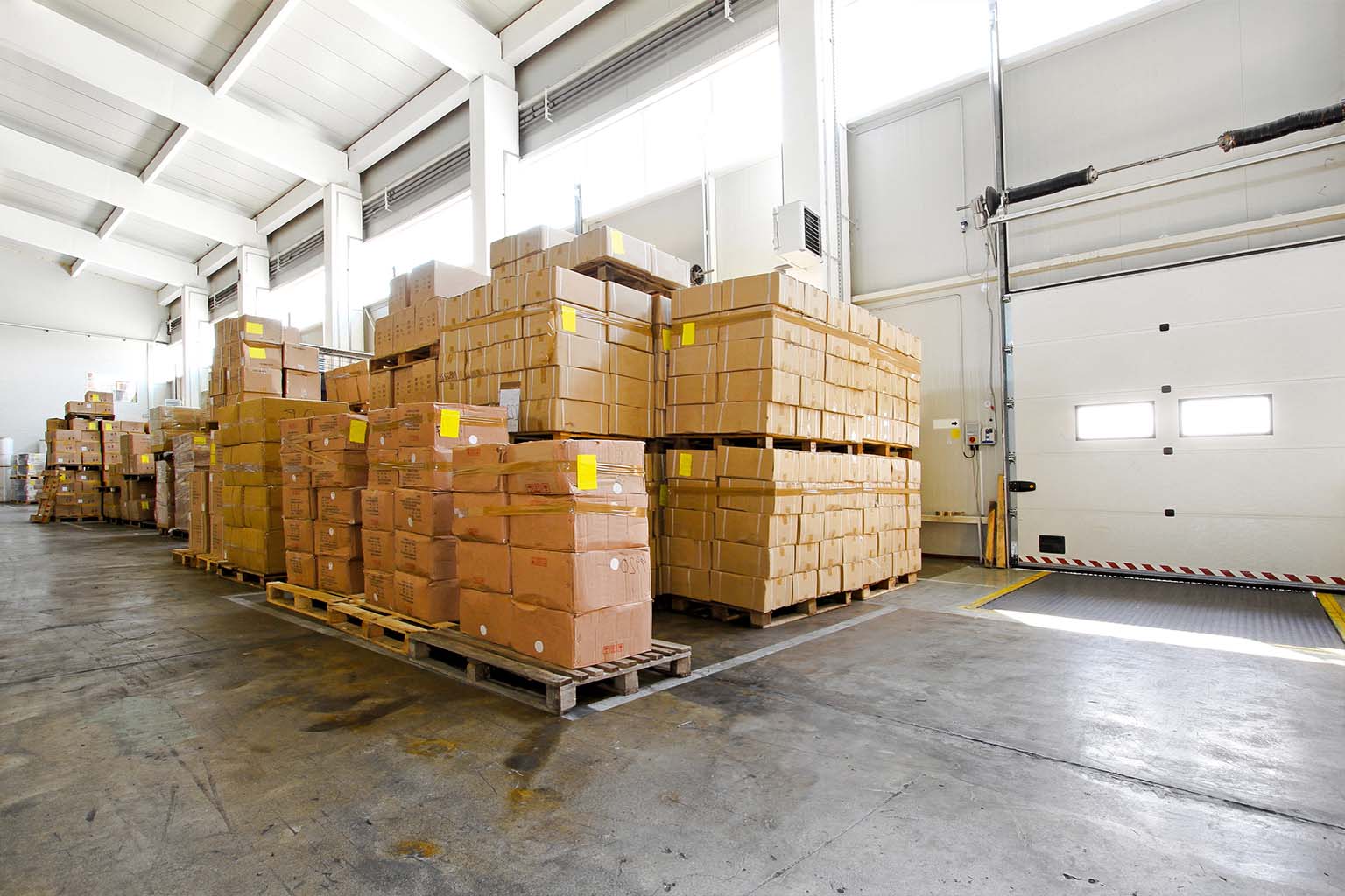 Same-Day Custom T-Shirts - Next Day Delivery - Custom One Express